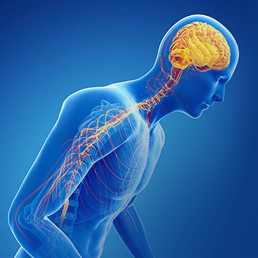 İzmir Parkinsons Disease | Dr. Tuğba KORKMAZ